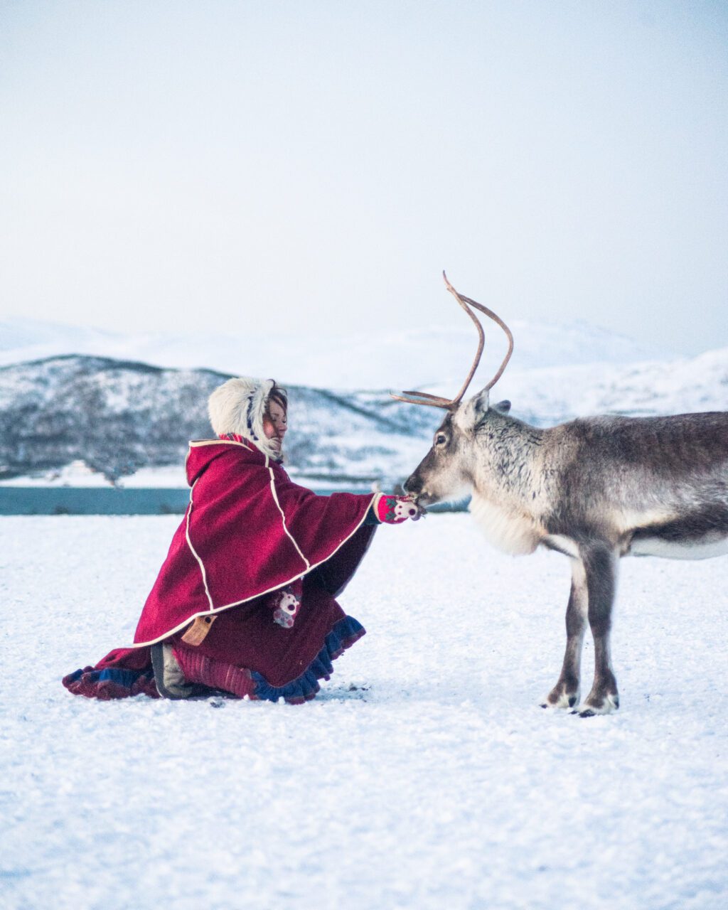 Explore - Tromsø lodge and Camping